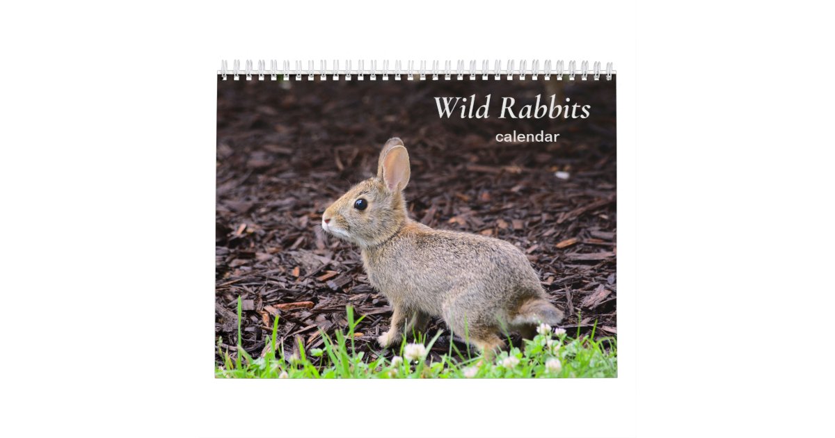Wild Rabbits Calendar | Zazzle