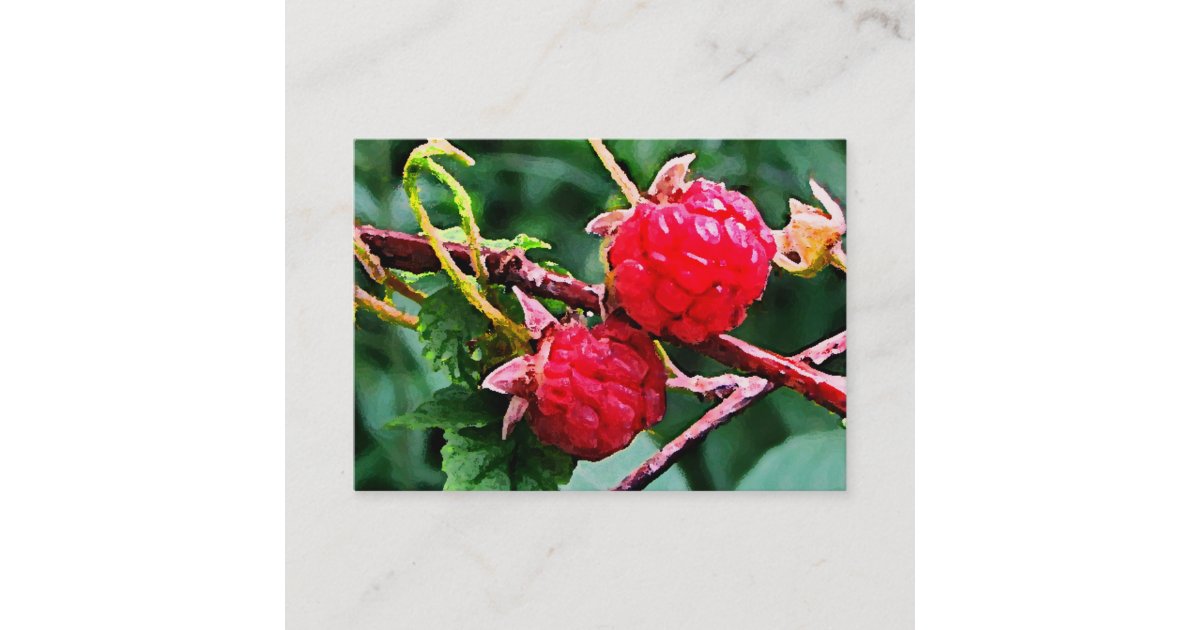 Wild Raspberries ATC Business Card | Zazzle