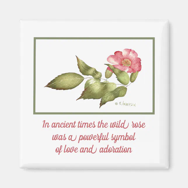 Wild rose pink watercolor flower symbol magnet | Zazzle