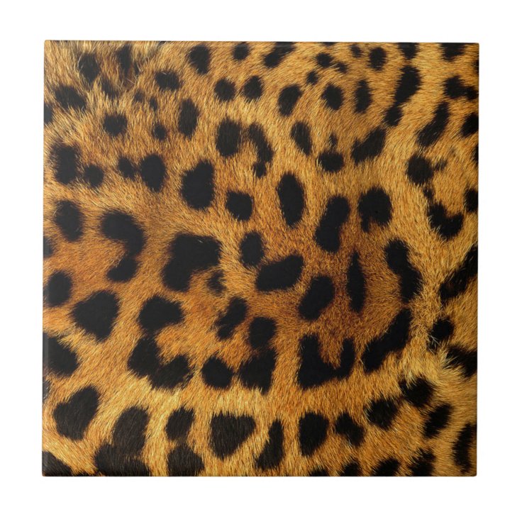 wild Safari animal cheetah girly leopard print Ceramic Tile | Zazzle