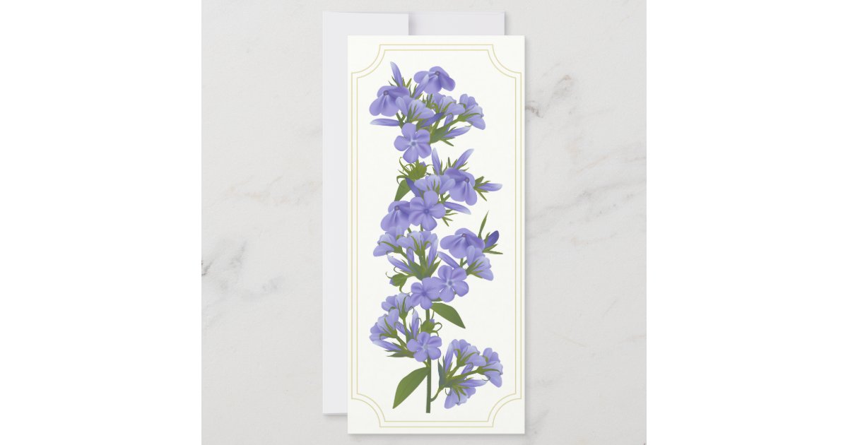 Wild Sweet William Rack Card | Zazzle