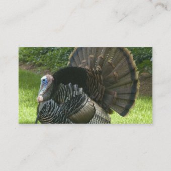Wild Turkey Business Card | Zazzle