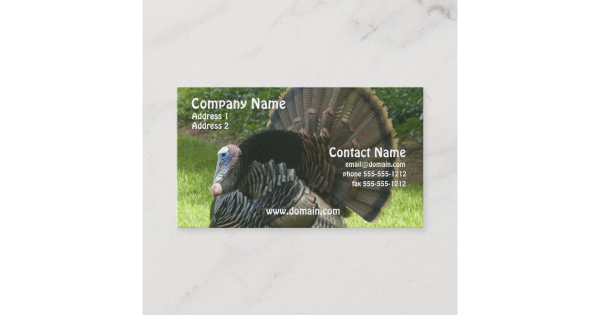 Wild Turkey Business Card | Zazzle