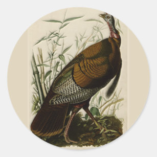 Wild Turkey Stickers - 100% Satisfaction Guaranteed | Zazzle