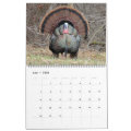 Wild Turkey Calendar | Zazzle