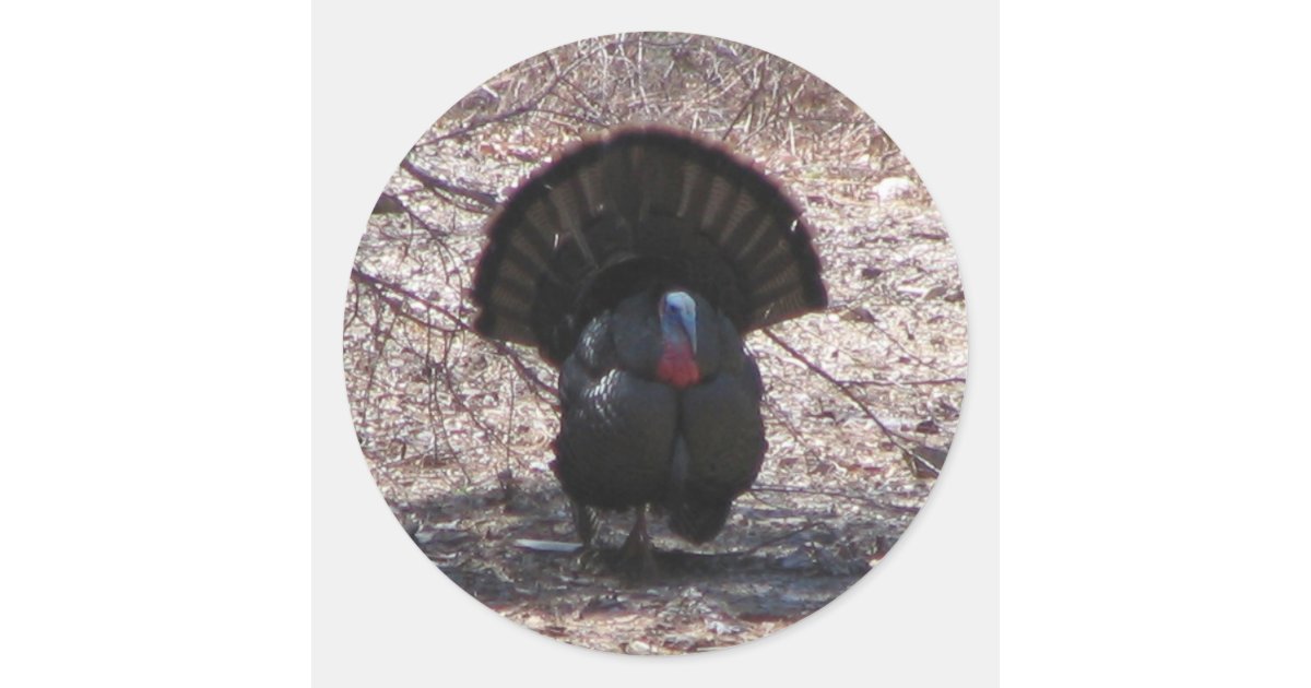 Wild Turkey Classic Round Sticker | Zazzle