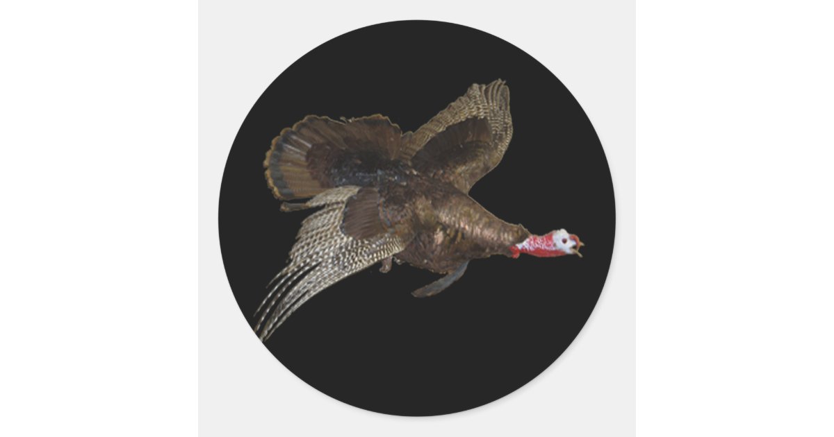 Wild Turkey Hunting Classic Round Sticker | Zazzle