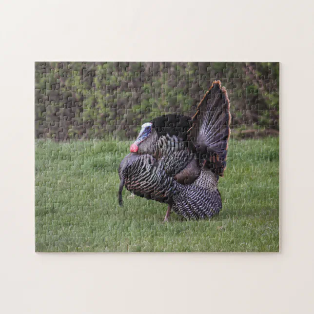 Wild Turkey Jigsaw Puzzle | Zazzle