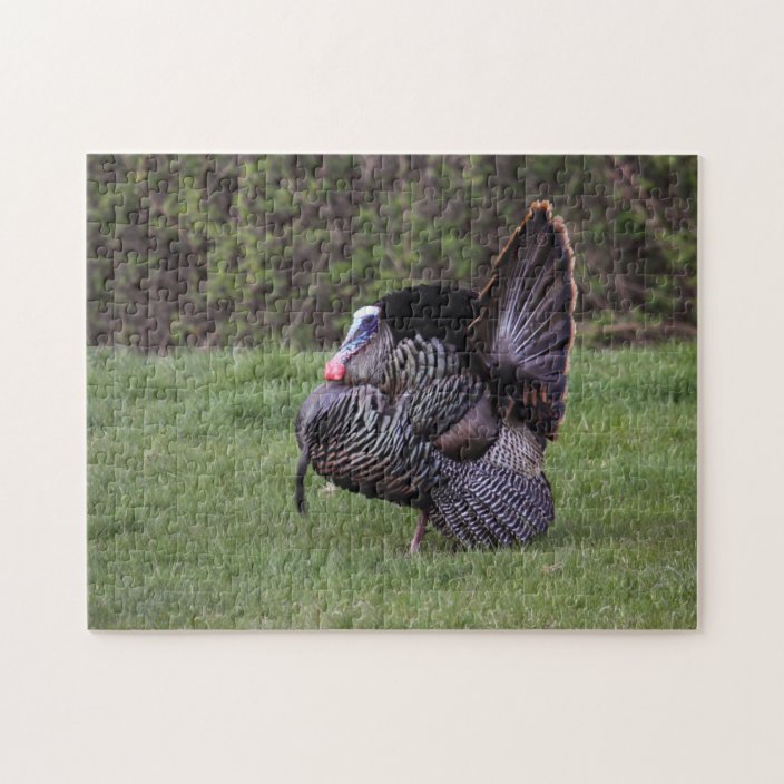 Wild Turkey Jigsaw Puzzle | Zazzle.com