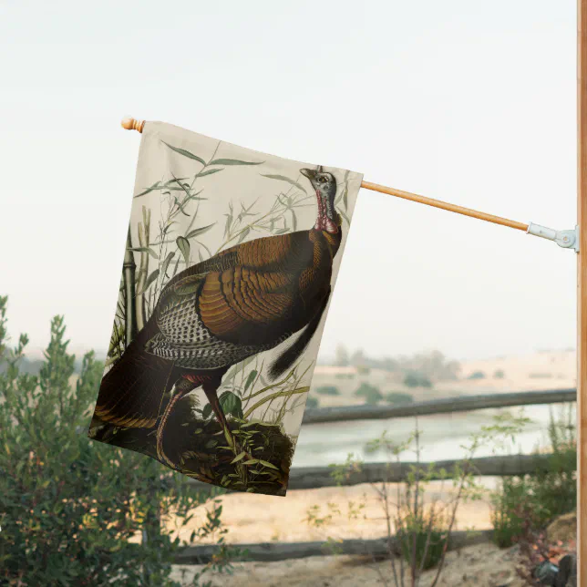 Wild Turkey (Male) from Audubon's Birds of America House Flag | Zazzle