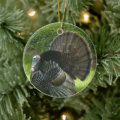 Wild Turkey Ornament | Zazzle