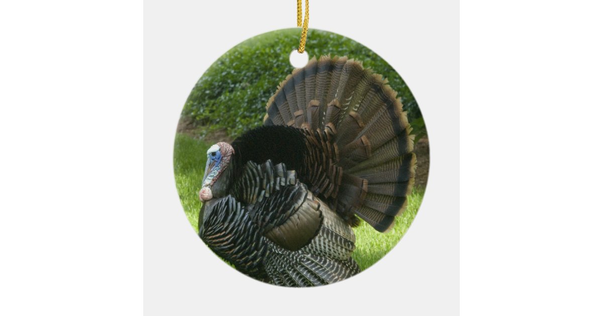 Wild Turkey Ornament | Zazzle