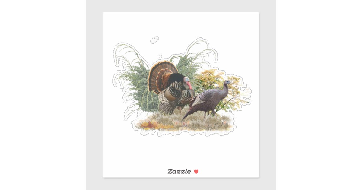 Wild turkey sticker | Zazzle
