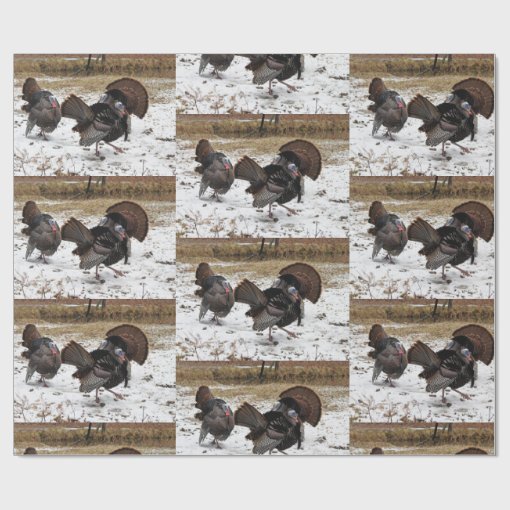 Wild Turkey Strutting Their Stuff Wrapping Paper | Zazzle