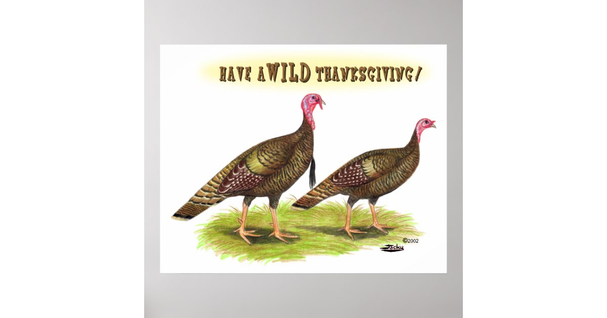 Wild turkey Thanksgiving Poster | Zazzle