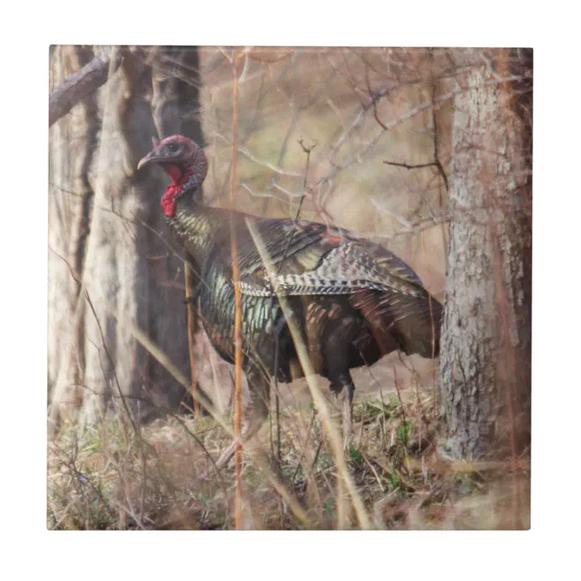 Wild Turkey Tile | Zazzle