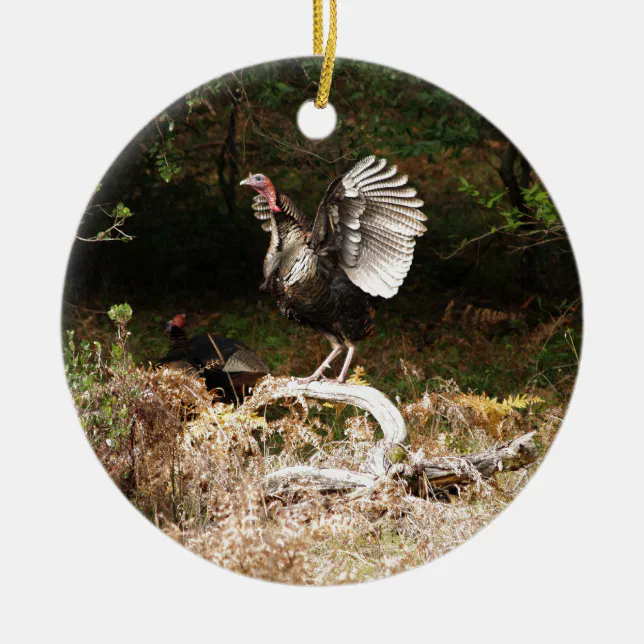 Wild Turkeys Ceramic Ornament | Zazzle