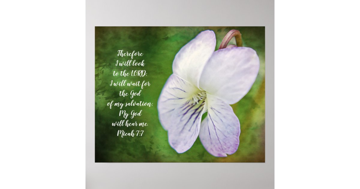 Wild Violet Flower Bible Scripture Poster | Zazzle