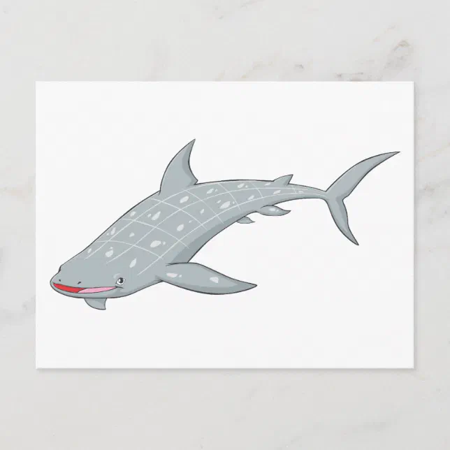 Wild Whale Shark Postcard | Zazzle