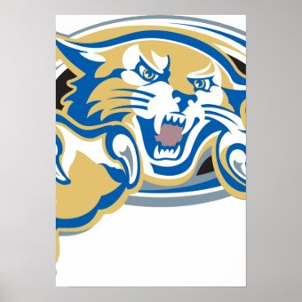 Wildcat Poster | Zazzle