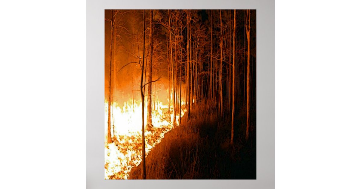 Wildfire Blaze Poster | Zazzle