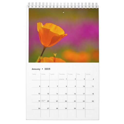 Wildflower Calendar | Zazzle