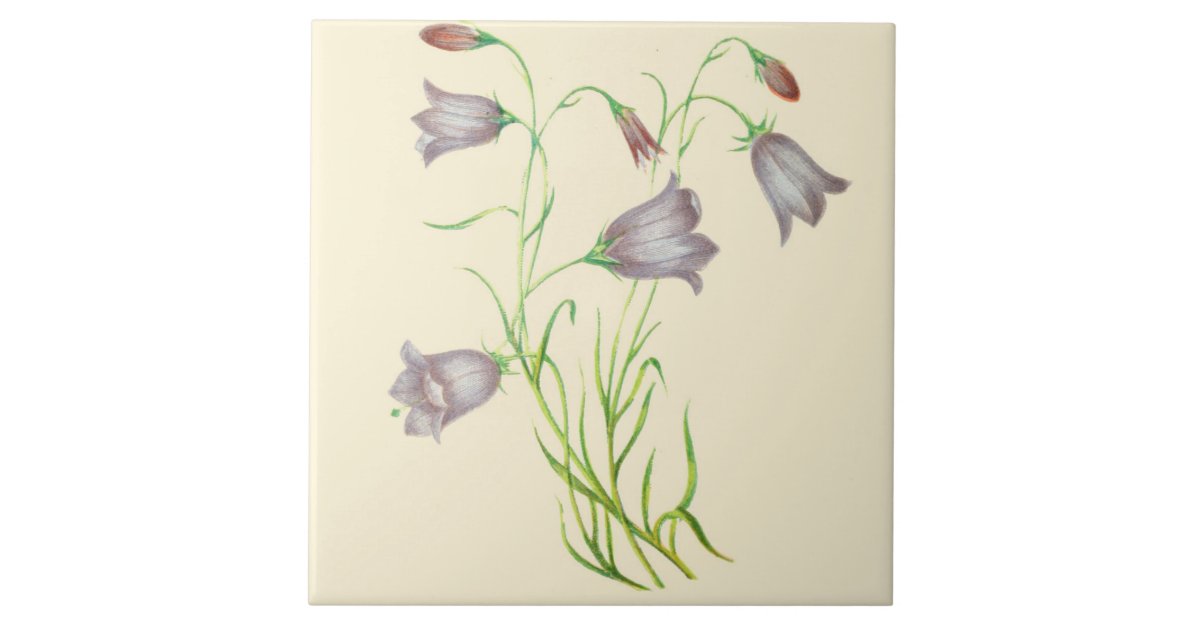 Wildflower Ceramic Kitchen Tile Campanula | Zazzle