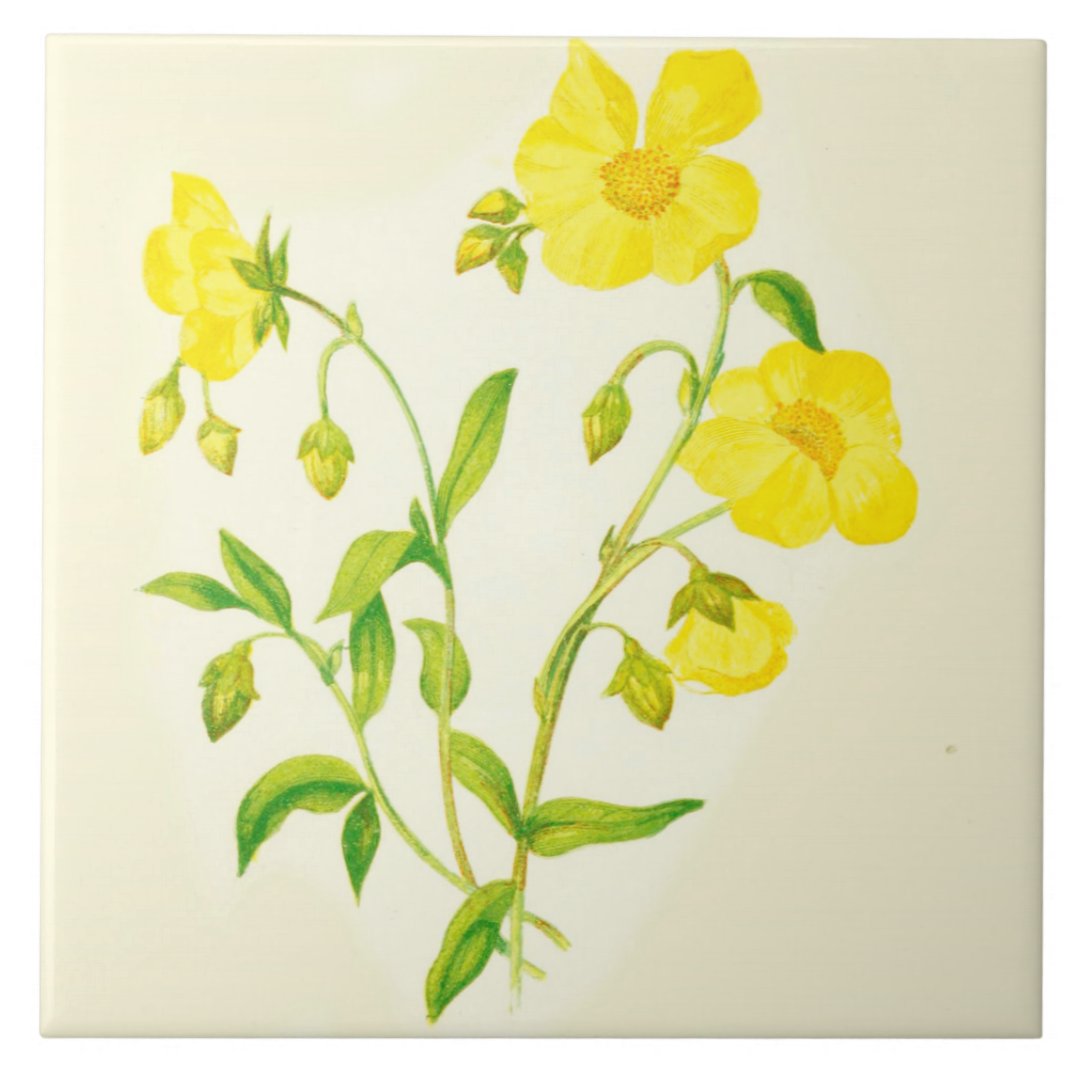 Wildflower Country Kitchen Ceramic Tile Buttercups | Zazzle