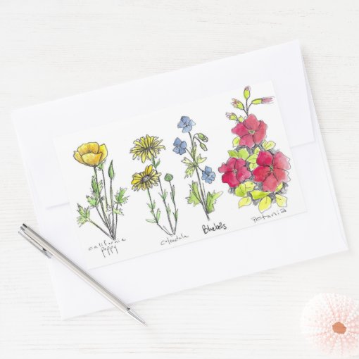 Wildflower Drawing Black Ink Pen Watercolor Art Rectangular Sticker ...