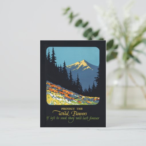Wildflower earth day environmental deco postcard | Zazzle