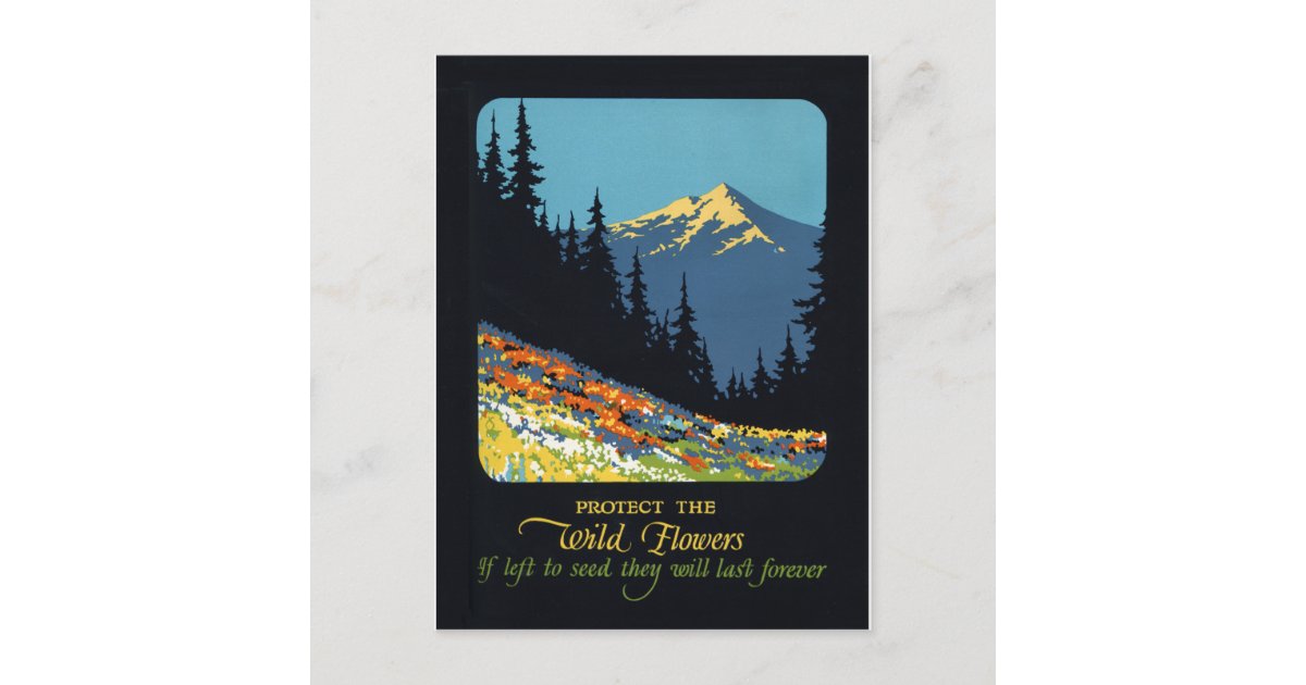 Wildflower earth day environmental deco postcard | Zazzle