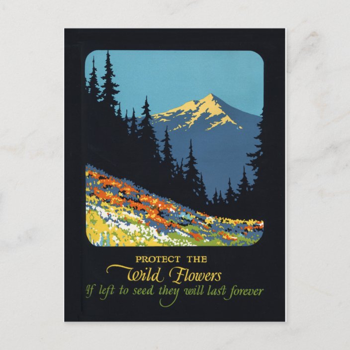 Wildflower earth day environmental deco postcard | Zazzle.com