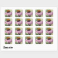 Wildflower - Purple Coneflower / Echinacea Square Sticker | Zazzle