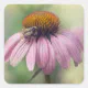 Wildflower - Purple Coneflower / Echinacea Square Sticker | Zazzle