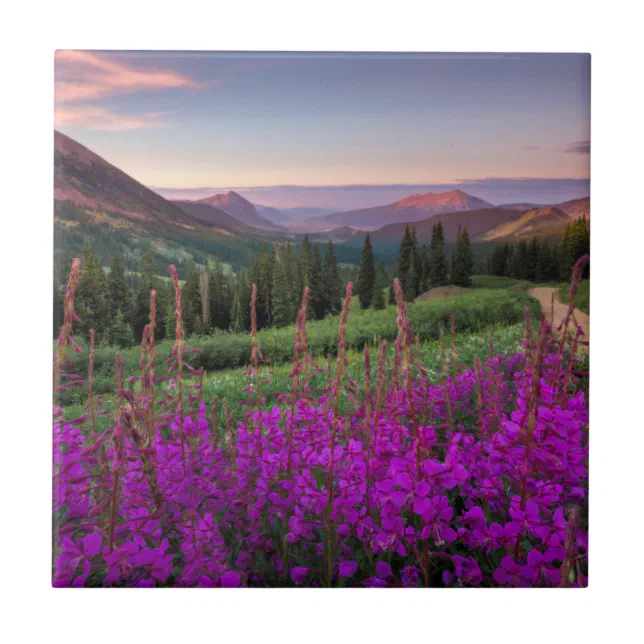 Wildflower Sunrise | Crested Butte, Colorado Ceramic Tile | Zazzle