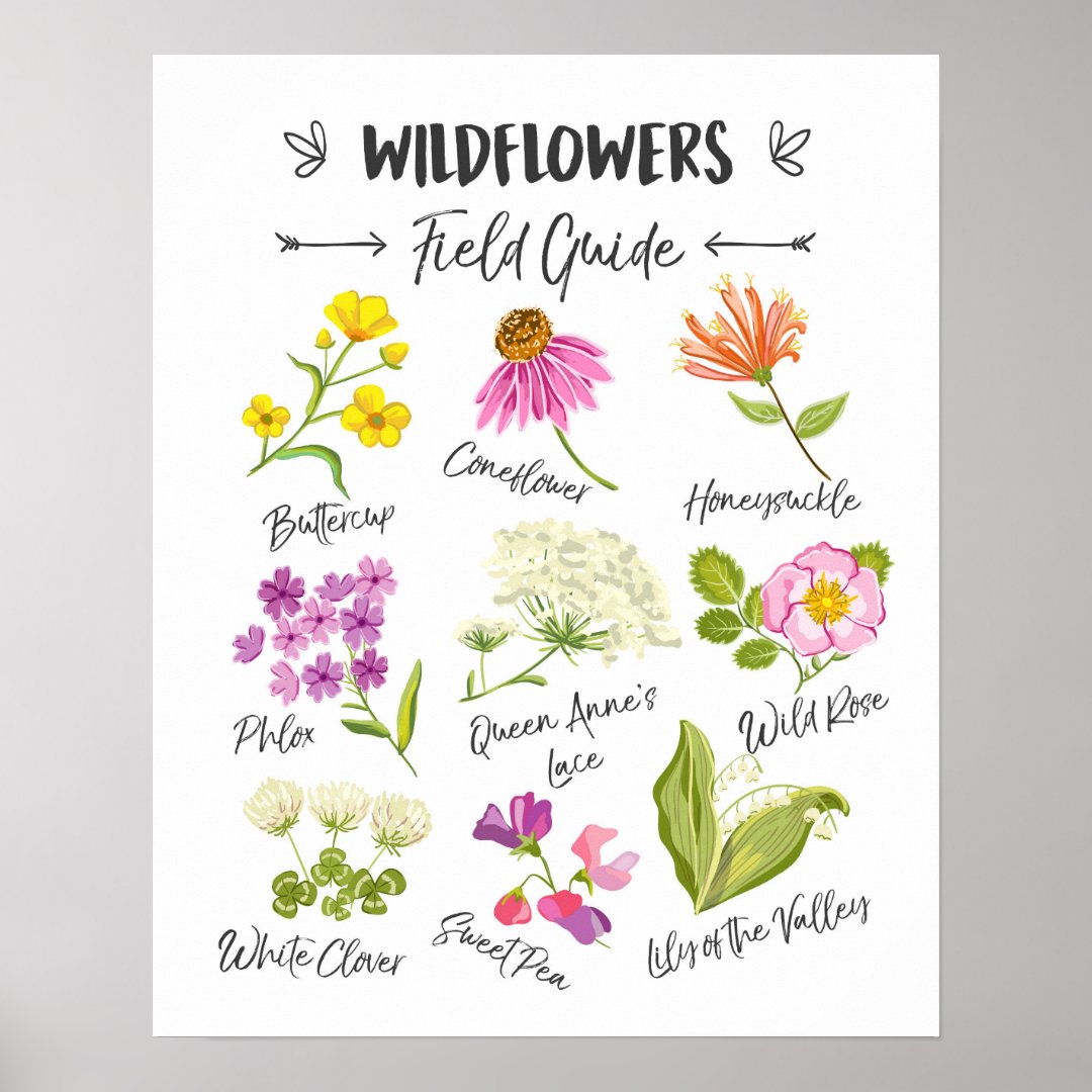 Wildflowers art Wild flowers poster wall nursery | Zazzle