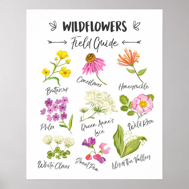 Wildflowers art Wild flowers poster wall nursery | Zazzle