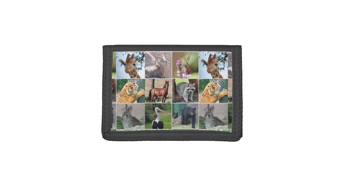 Wildlife Animals Collage in the Wild Boys Teens Trifold Wallet | Zazzle