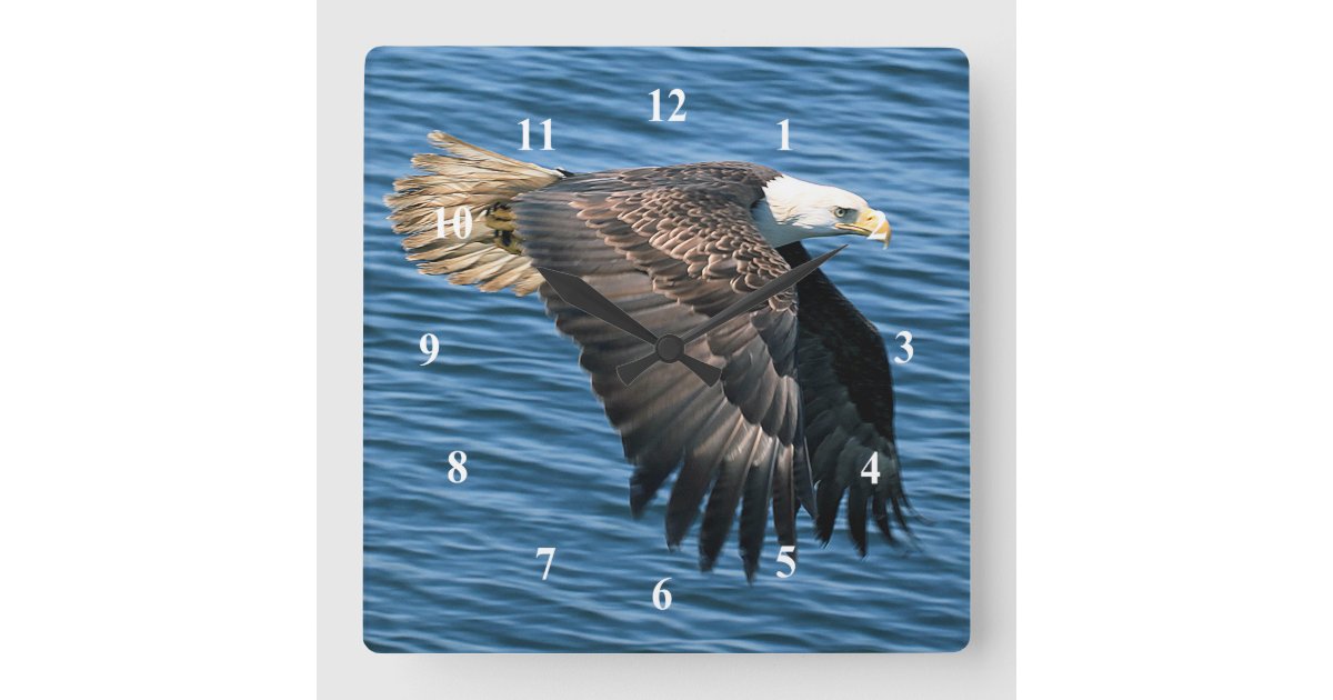 Wildlife Bald Eagle Photo Square Wall Clock | Zazzle