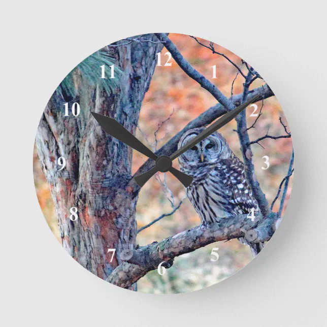 Wildlife Barred Owl Tree Photo Round Clock | Zazzle