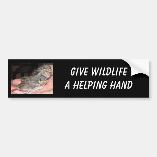 Wildlife Bumper Sticker | Zazzle