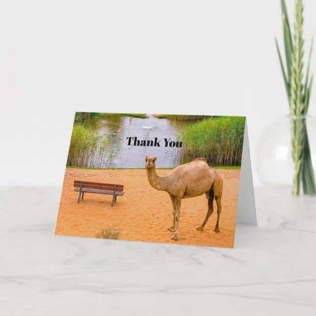 Wildlife Camel Oasis Photo Thank You Card | Zazzle