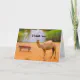 Wildlife Camel Oasis Photo Thank You Card | Zazzle