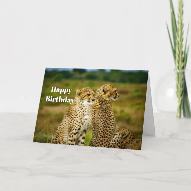 Wildlife Cheetah Photo Birthday Card | Zazzle
