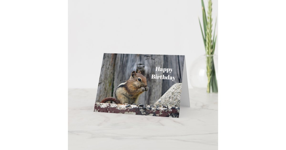 Wildlife Chipmunk Animal Photo Birthday Card | Zazzle