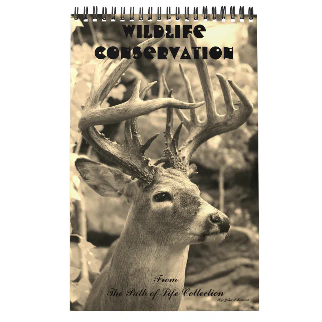 Wildlife Conservation Calendar | Zazzle