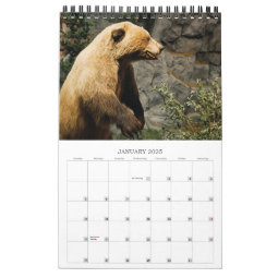 Wildlife Conservation Calendar | Zazzle