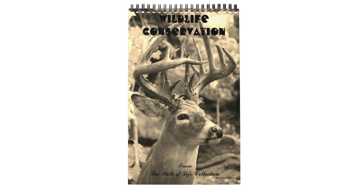 Wildlife Conservation Calendar | Zazzle