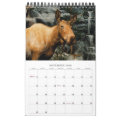 Wildlife Conservation Calendar | Zazzle