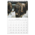 Wildlife Conservation Calendar | Zazzle